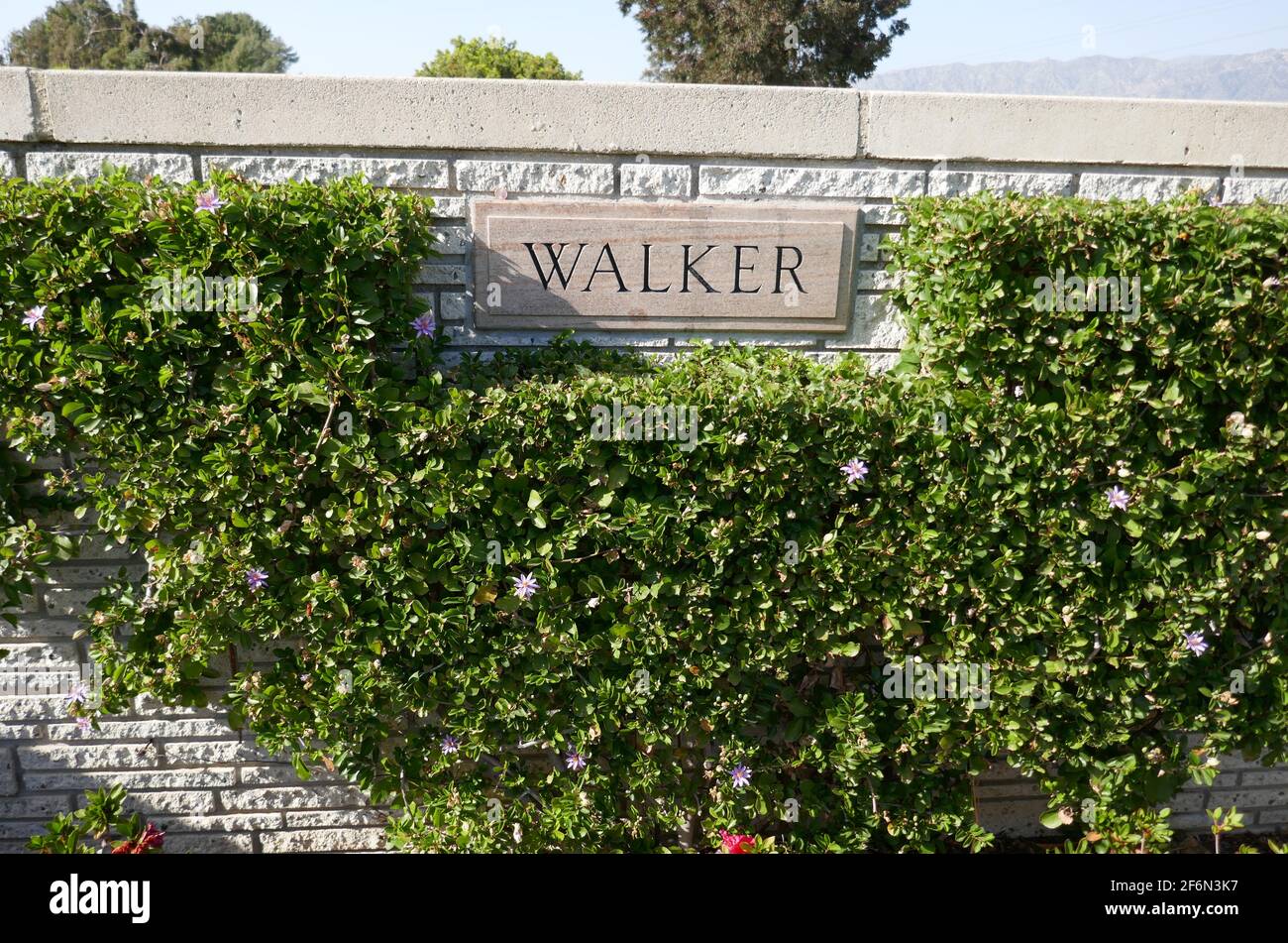 Los Angeles, California, USA 30st March 2021 A general view of atmosphere of actor Paul Walker's ...