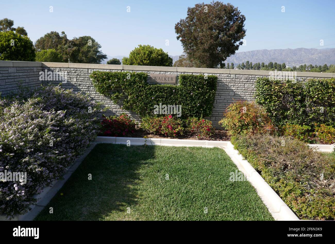 Paul Walker Forest Lawn