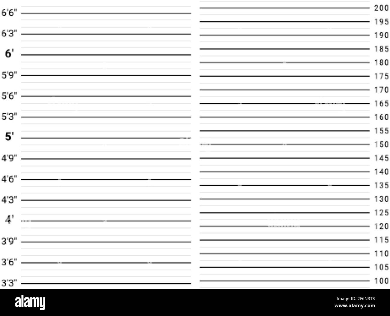 Mugshot background. Police lineup wall with both metric and imperial ...