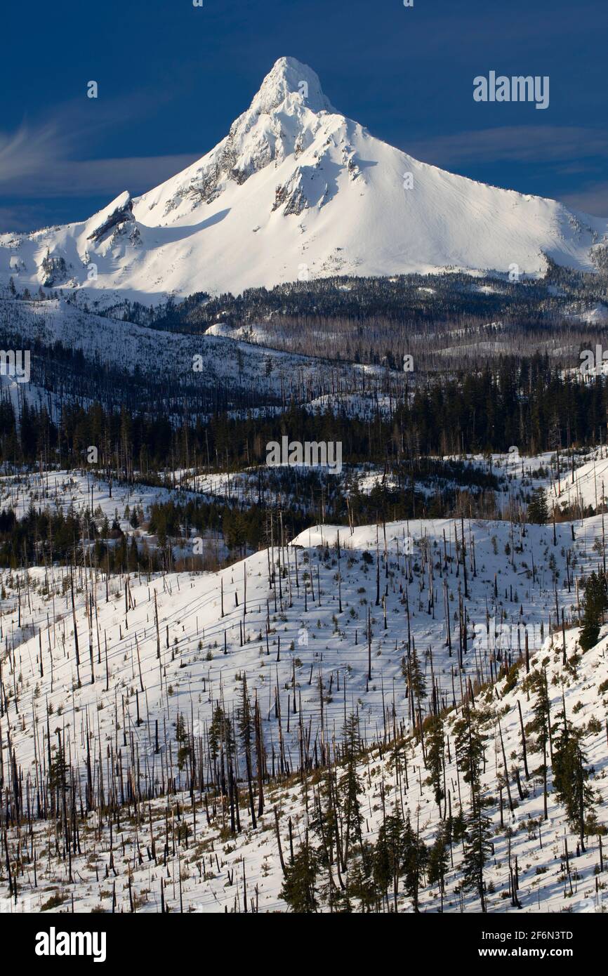 Mount Washington from Mt. Washington Viewpoint, Deschutes National ...