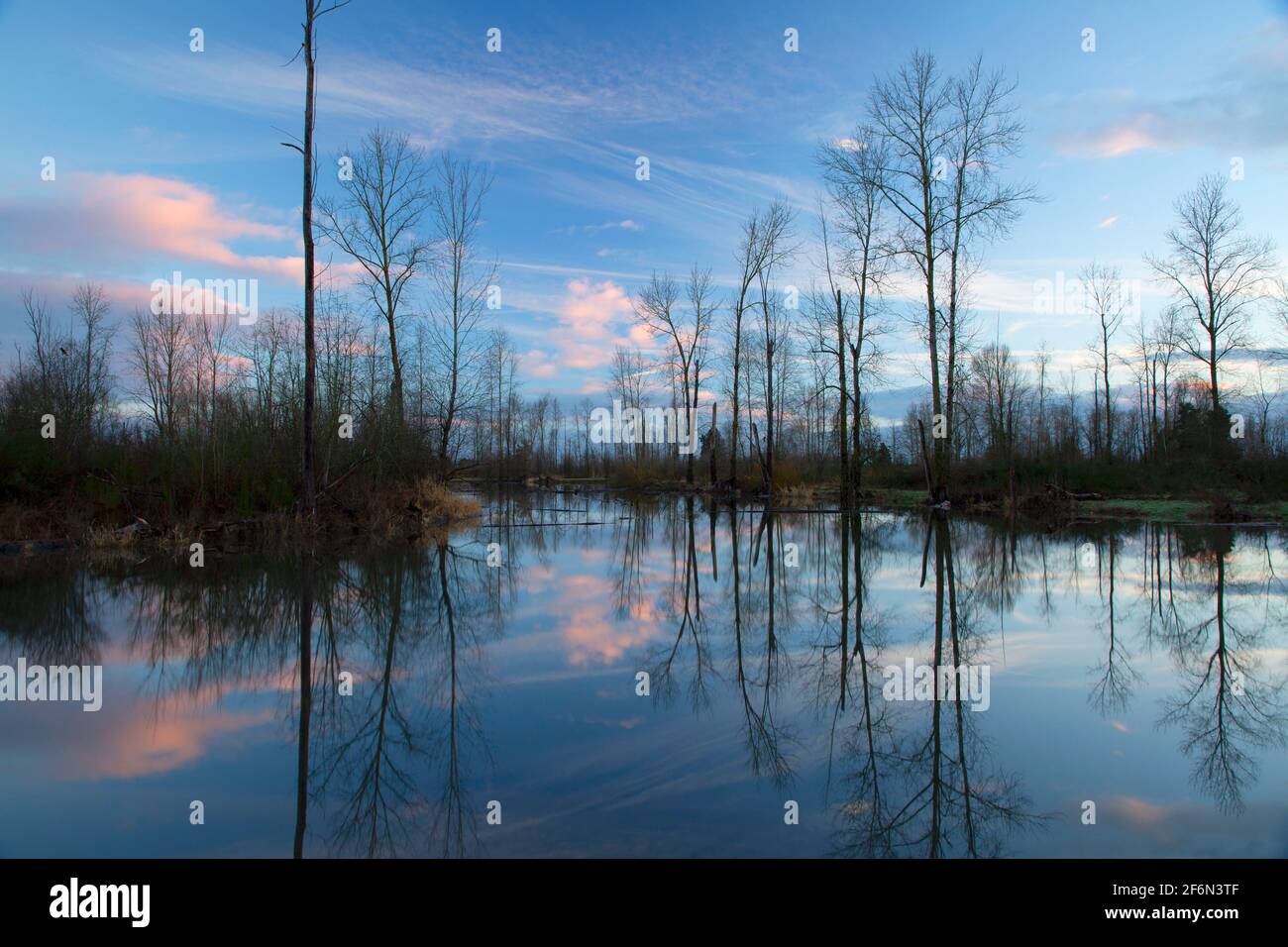 St louis ponds public fishing area hi-res stock photography and images ...