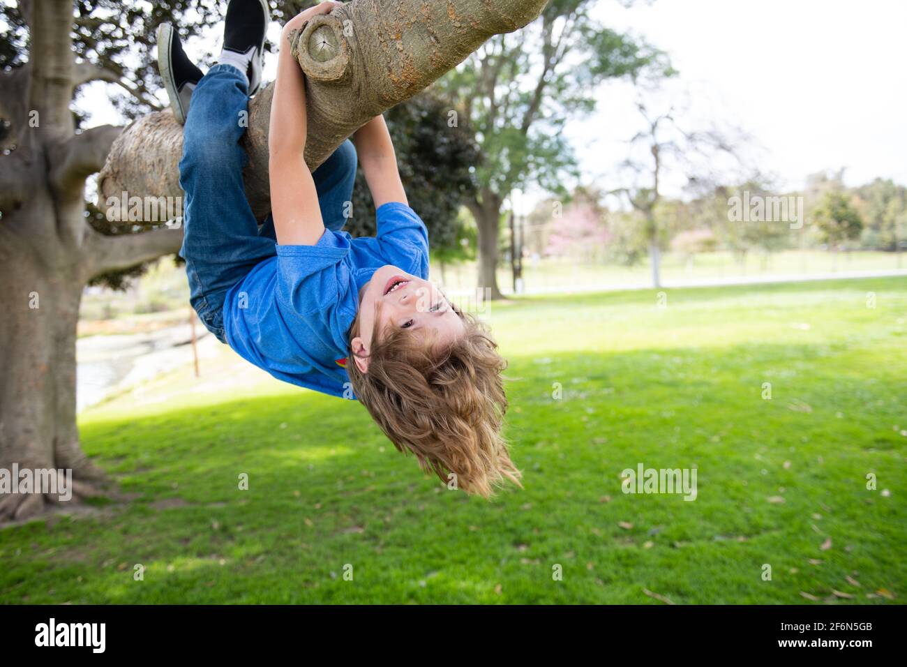 Kid climbing tree hi-res stock photography and images - Alamy