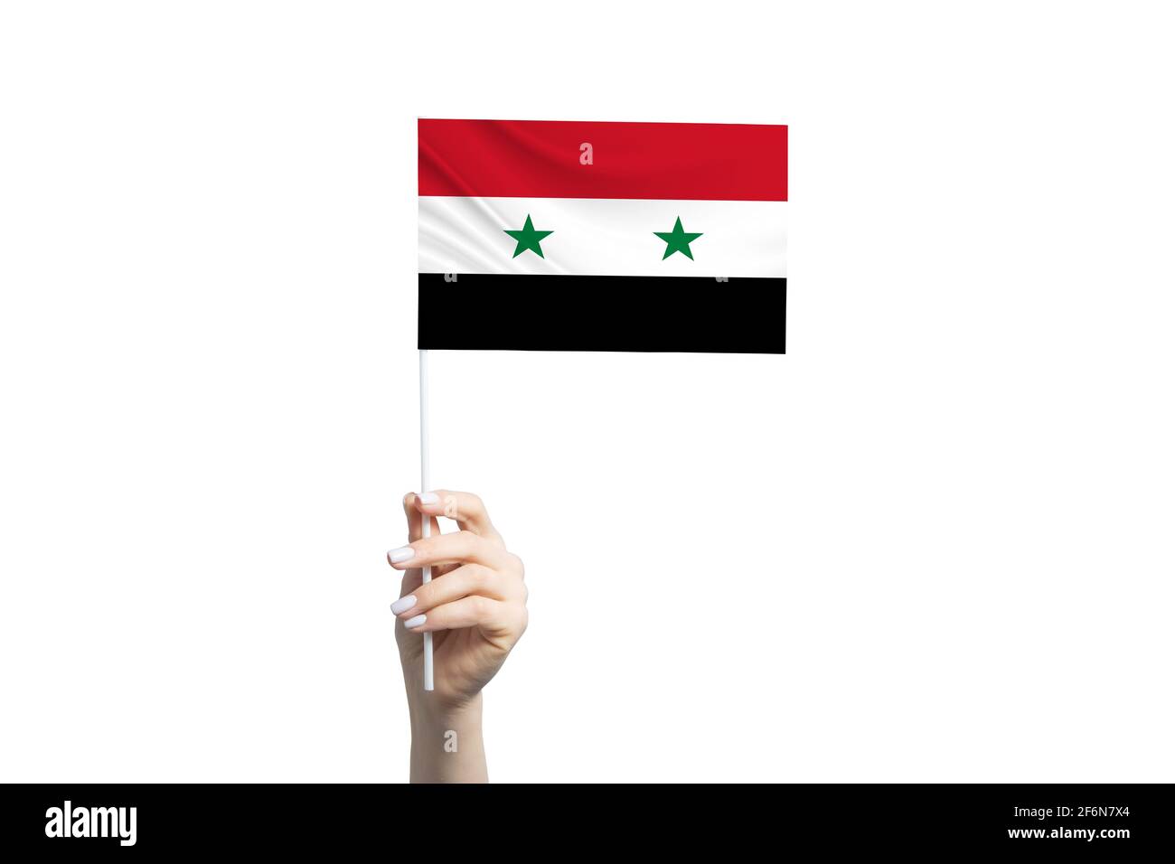 Beautiful female hand holding Syria flag, isolated on white background ...