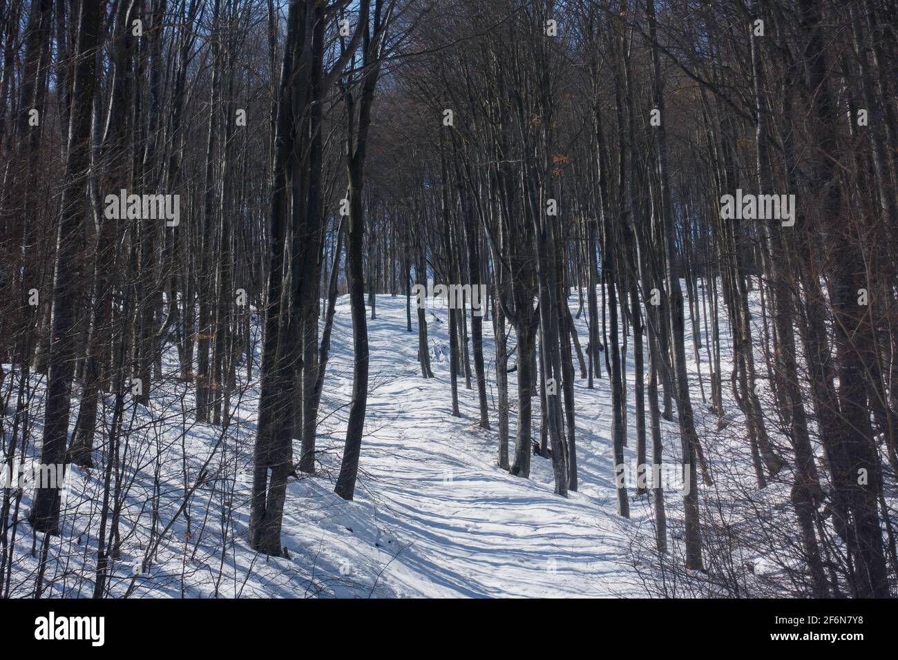 Mess walk hi-res stock photography and images - Alamy