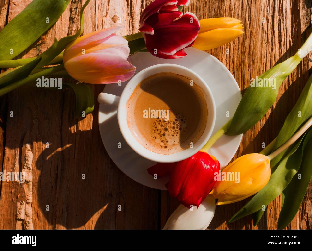 Coffee shop gift card hi-res stock photography and images - Alamy