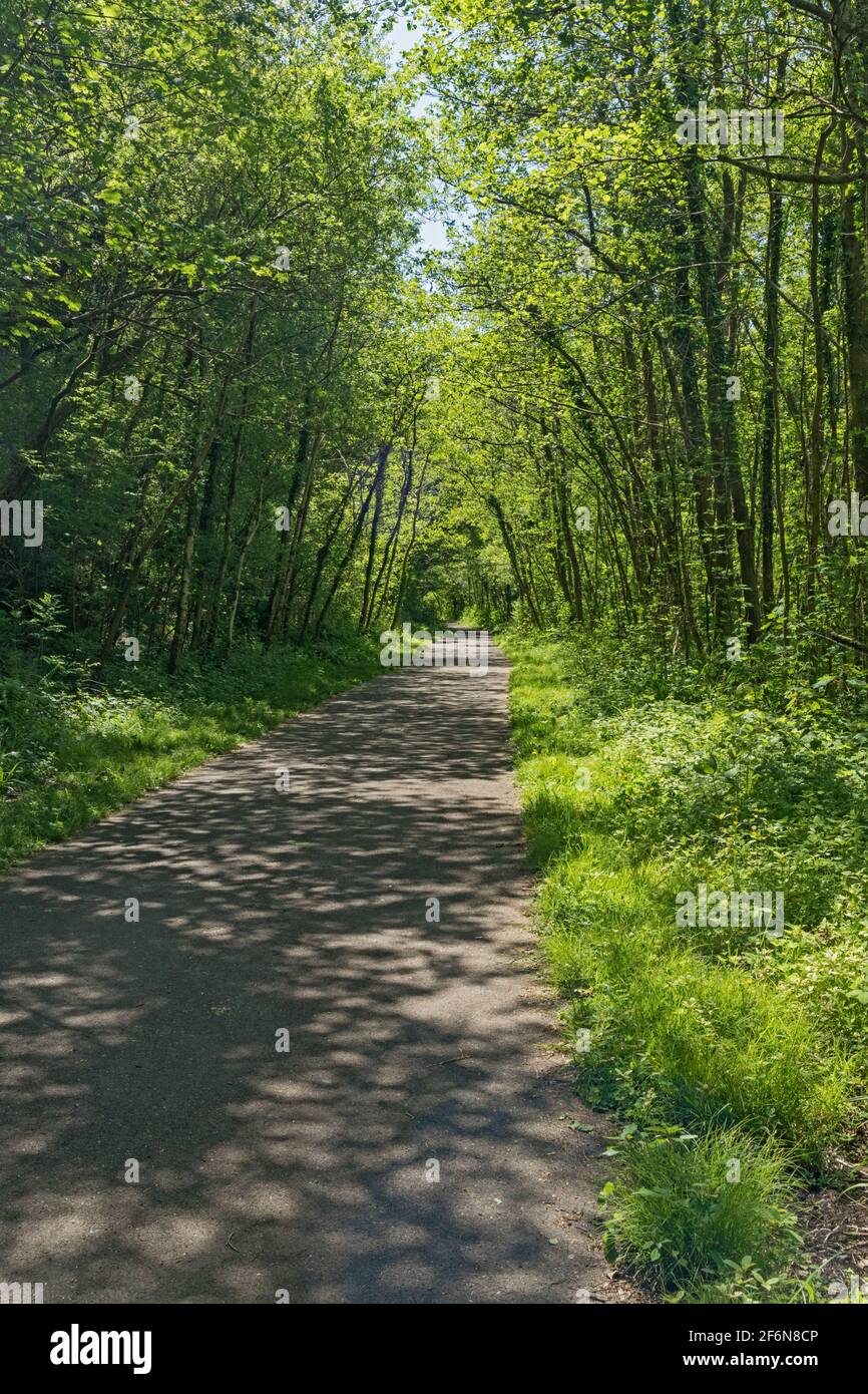 Cwm tawe cycle path hi-res stock photography and images - Alamy