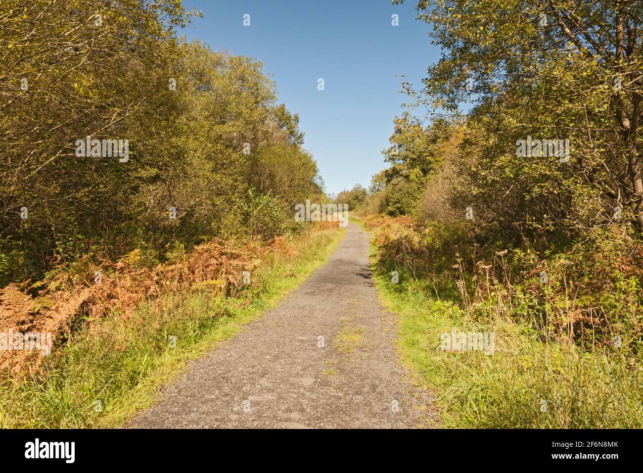 Walks autumn uk forest hi-res stock photography and images - Alamy