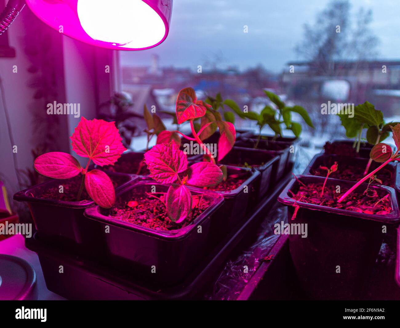 Supplementary illumination hi-res stock photography and images - Alamy