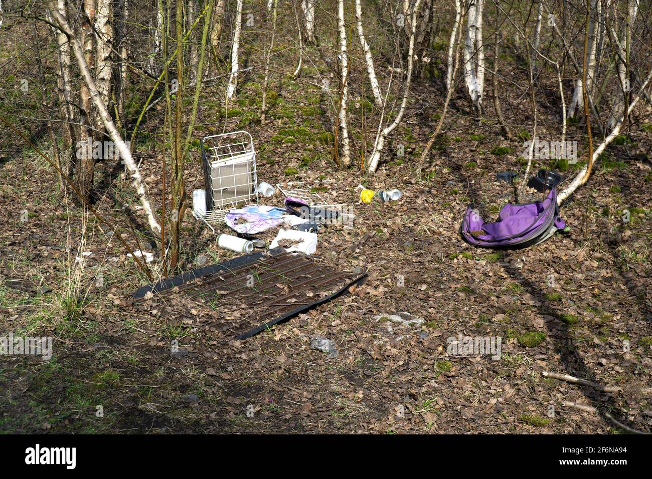 Fly tipped rubbish in woodland Stock Photo - Alamy