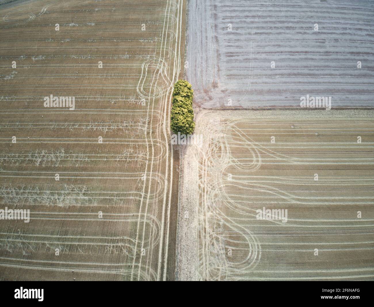 Aerial agriculture land and farming landscape, crop patterns and tracks ...