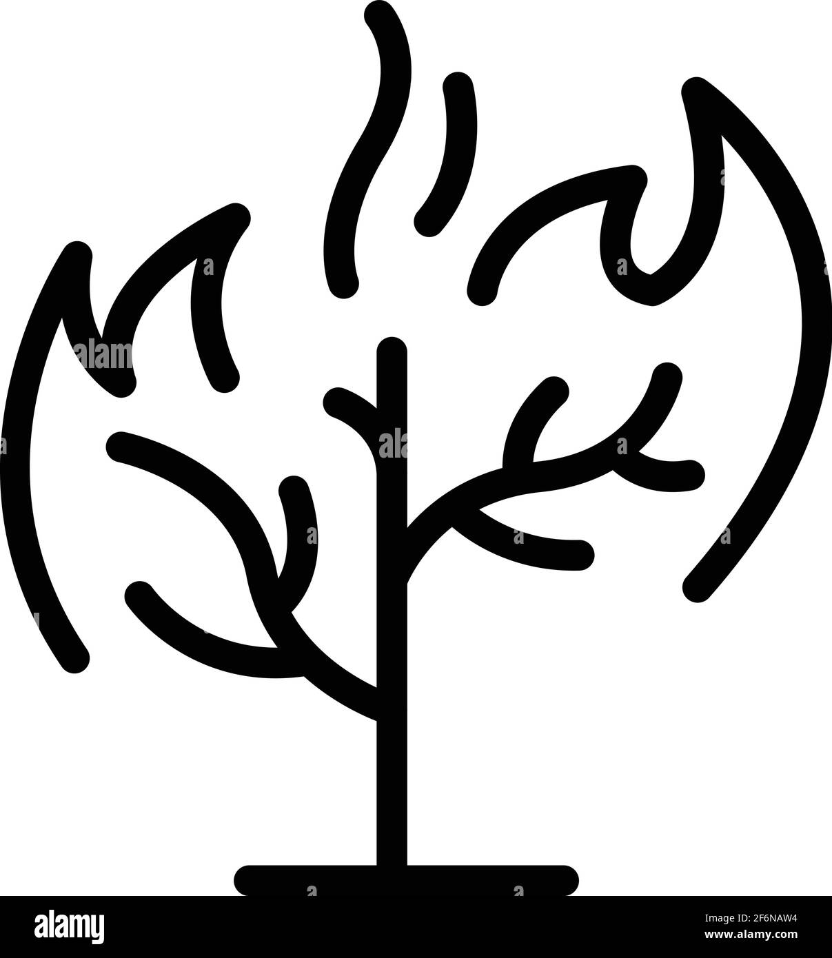 Tree blaze icon. Outline tree blaze vector icon for web design isolated ...
