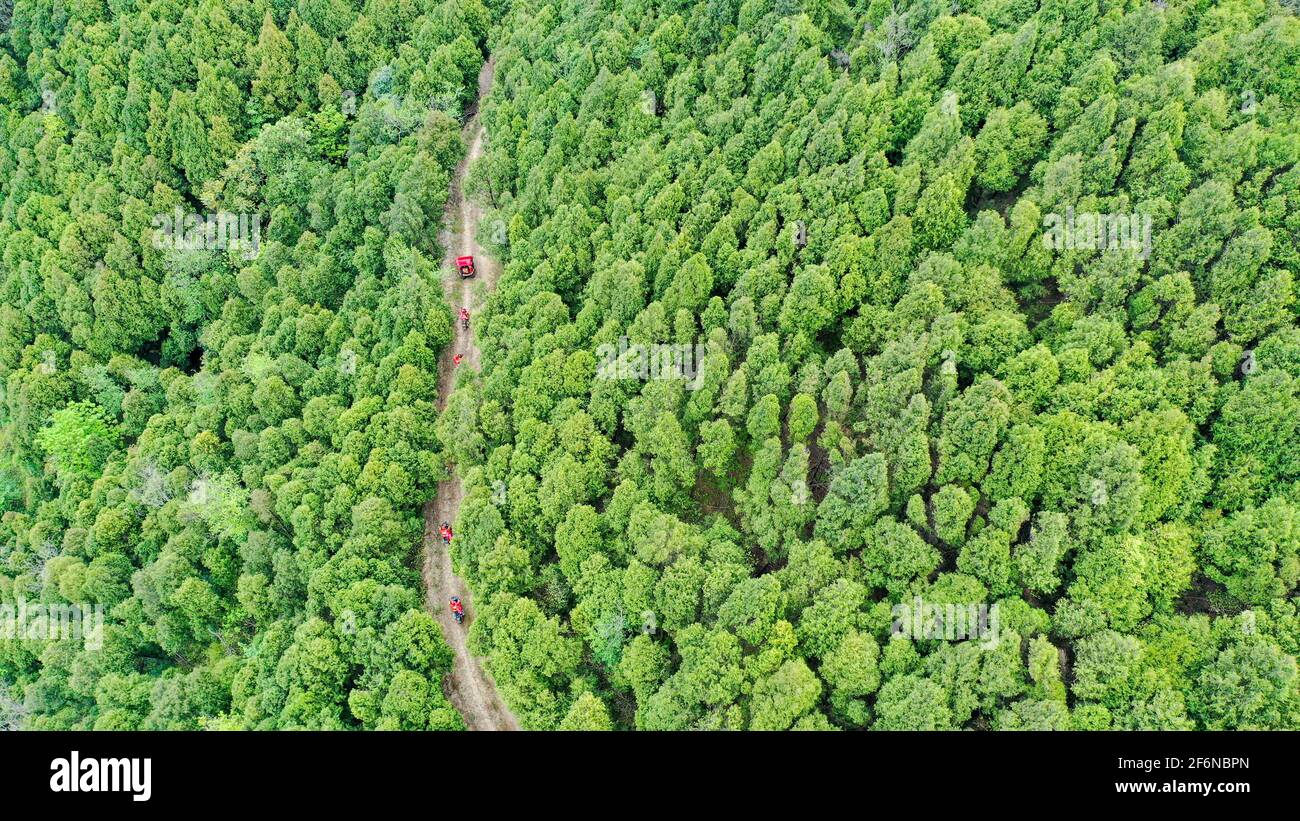Suining, China. 01st Apr, 2021. The mobile forest wardens patrol in the ...