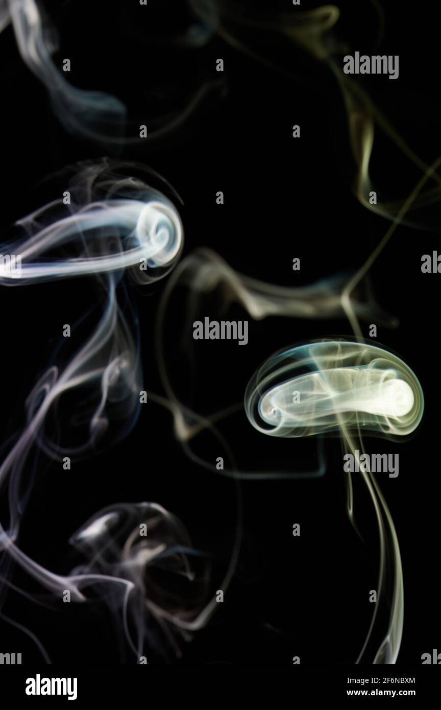 Abstract colorful smoke curves shapes in black background Stock Photo ...