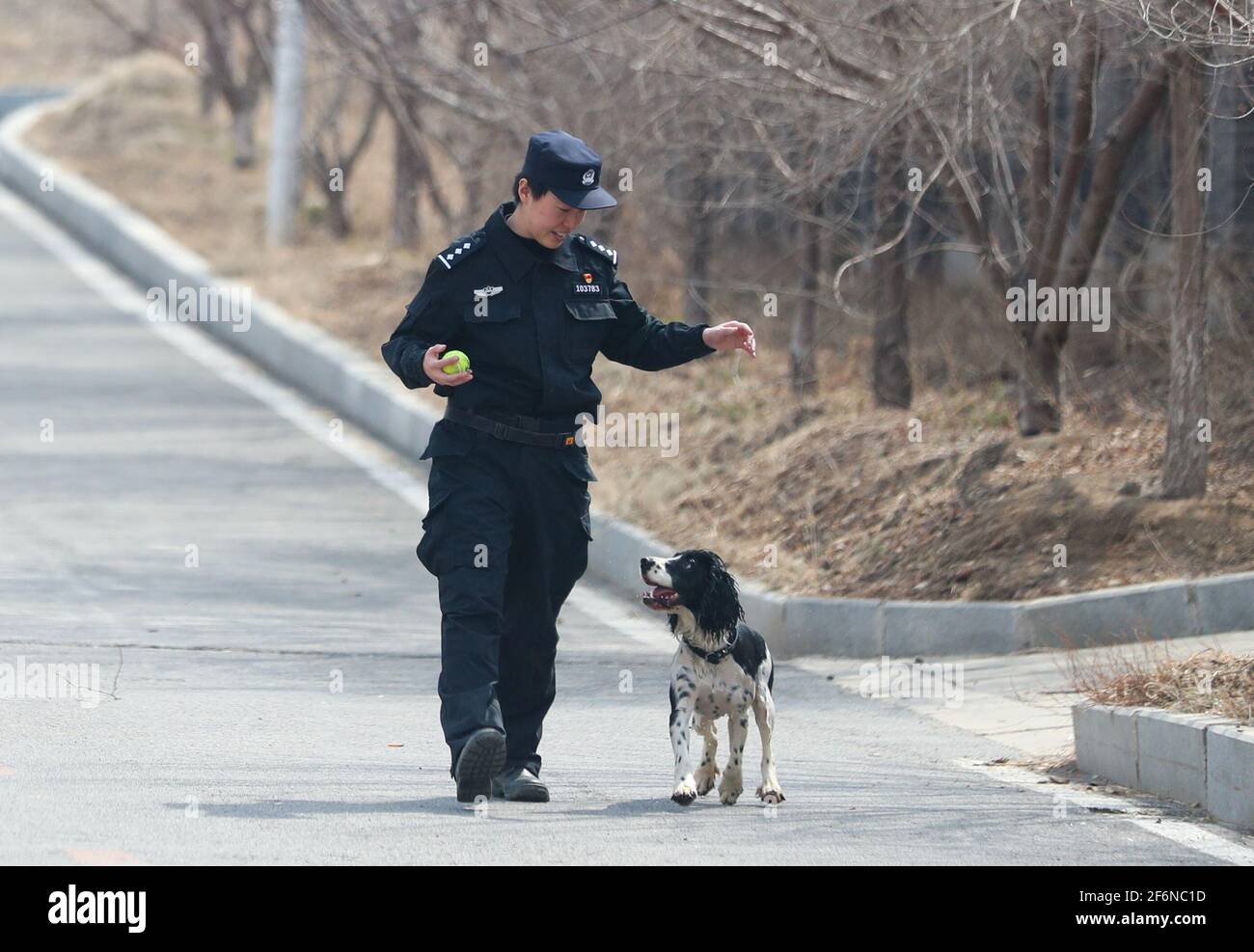 Female police dog handler hi-res stock photography and images - Alamy
