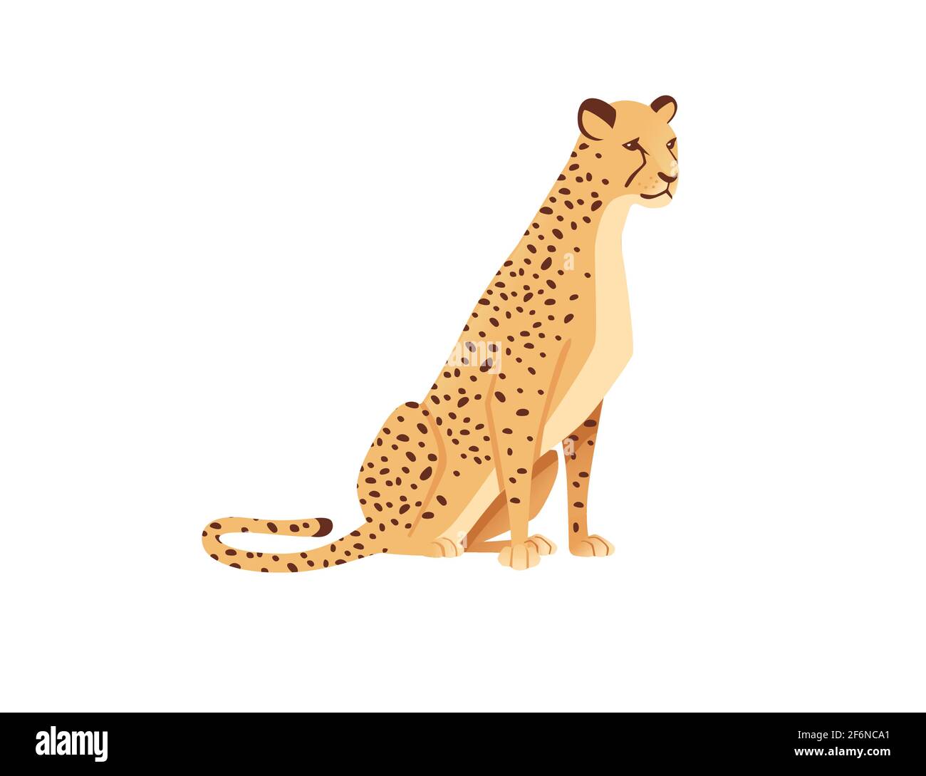 Cheetah big wild cat african savannah predator animal cartoon design ...