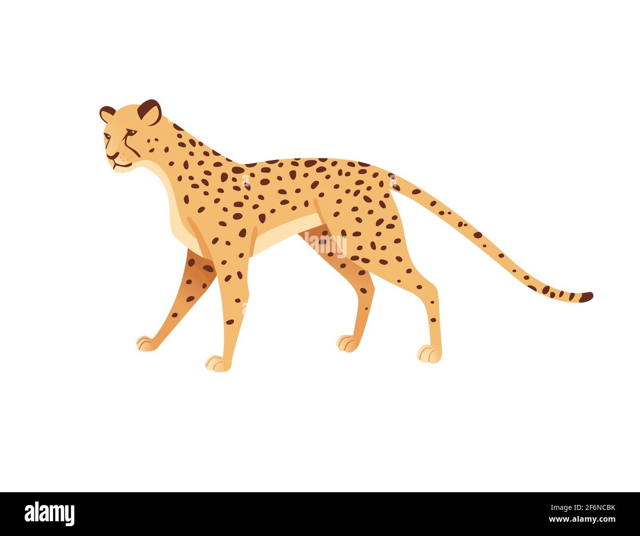 Cheetah big wild cat african savannah predator animal cartoon design ...