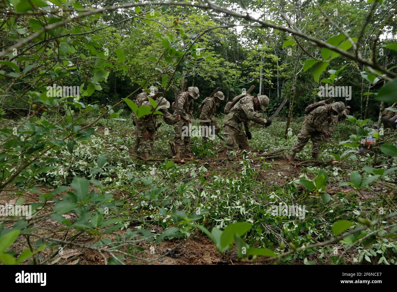 01 April 2021, Bolivia, Chimoré: Soldiers of the Joint Task Force (FTC ...