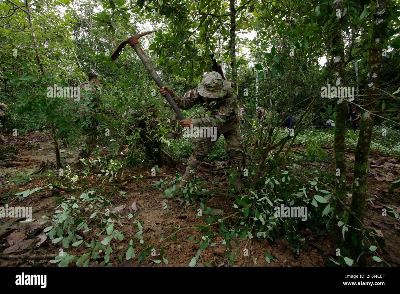 01 April 2021, Bolivia, Chimoré: Soldiers of the Joint Task Force (FTC ...