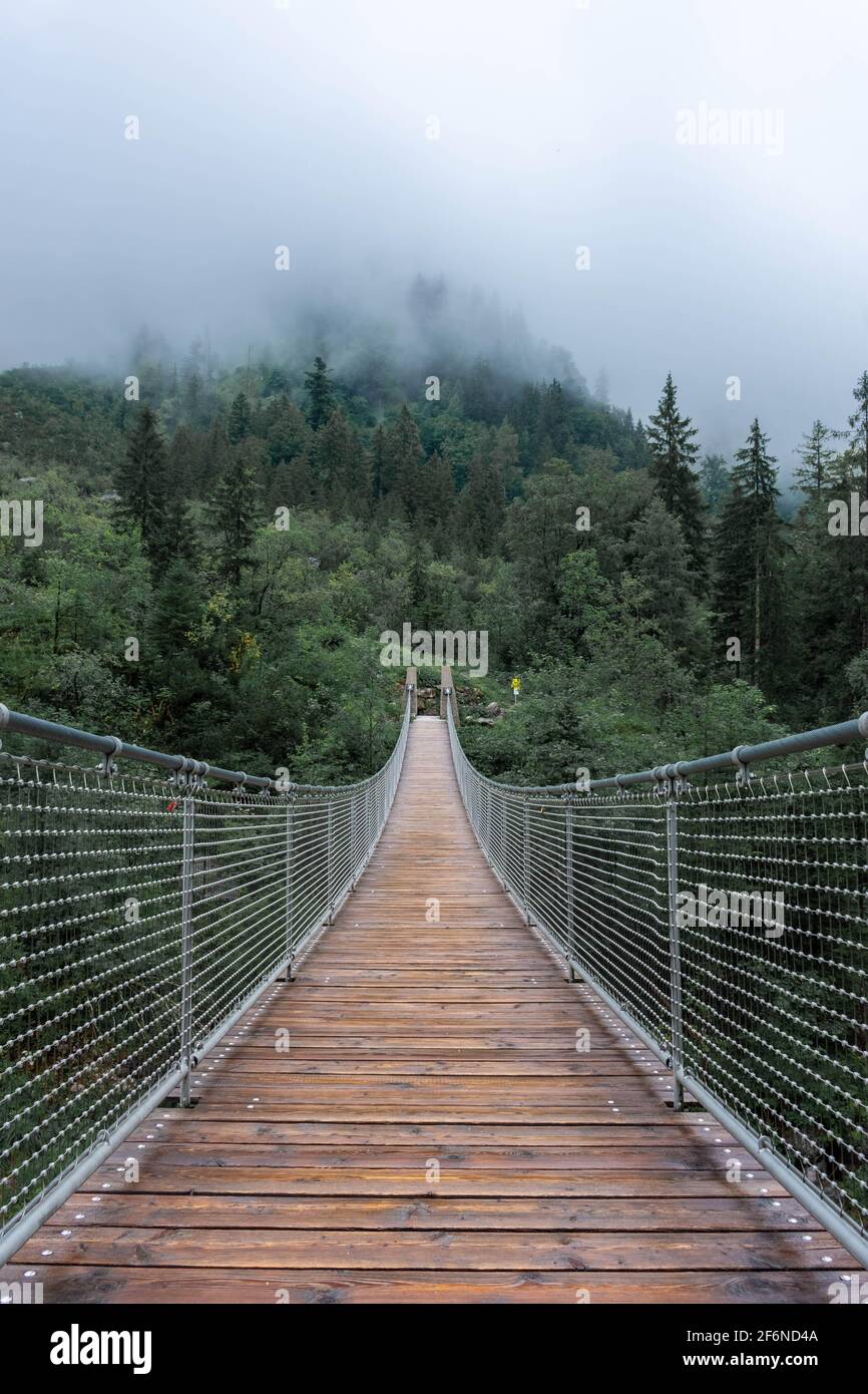 The Hangebrucke, hanging wooden bridge in the forest of Berchtesgaden ...