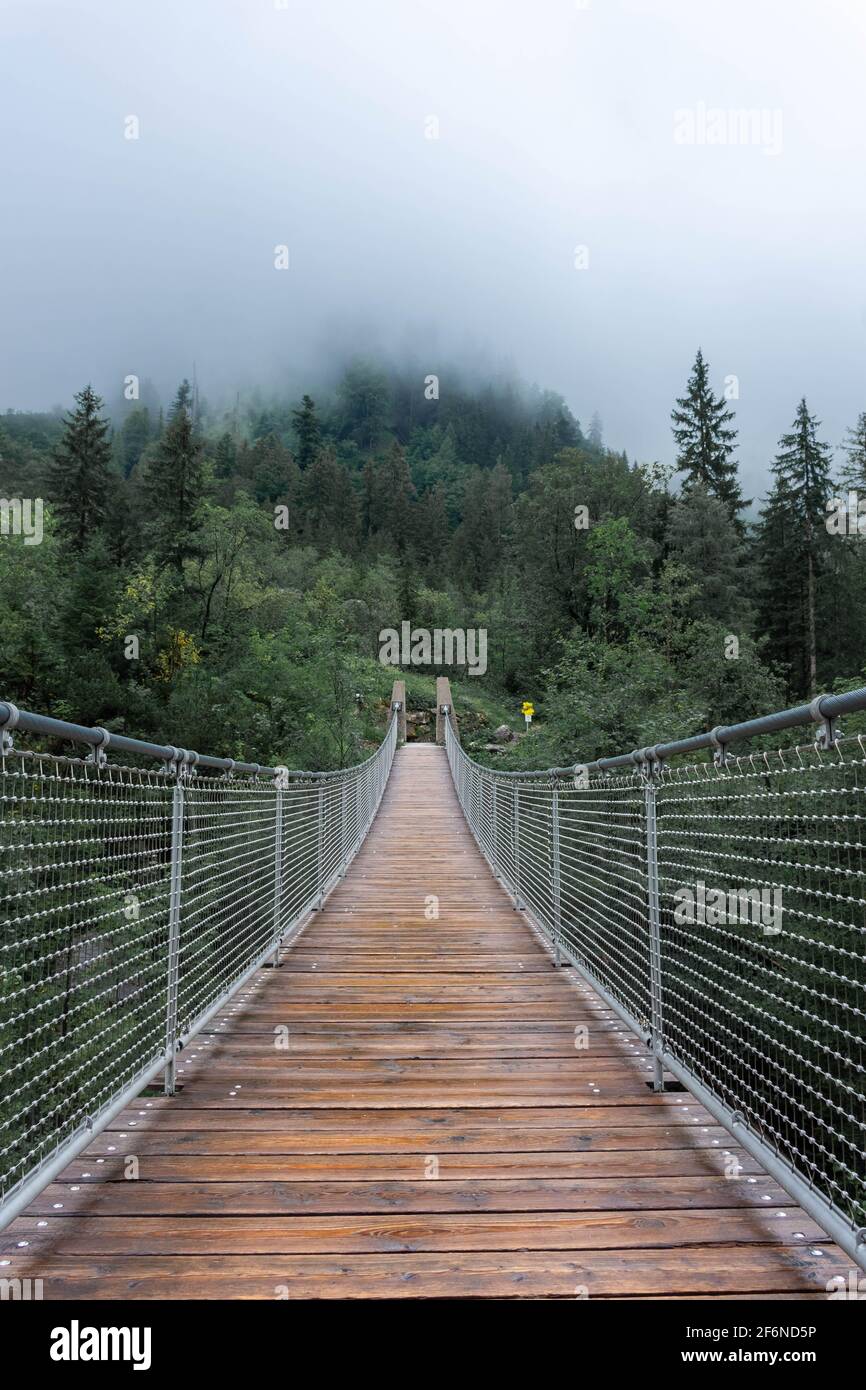 The Hangebrucke, hanging wooden bridge in the forest of Berchtesgaden ...
