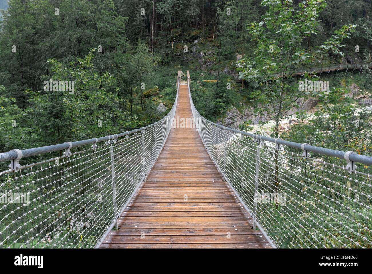 The Hangebrucke, hanging wooden bridge in the forest of Berchtesgaden ...