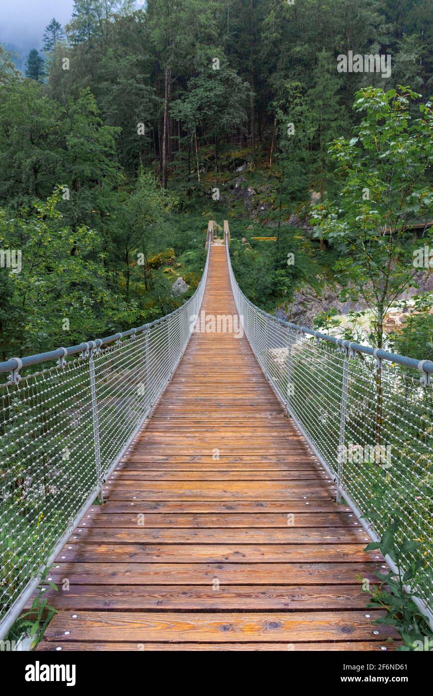 The Hangebrucke, hanging wooden bridge in the forest of Berchtesgaden ...