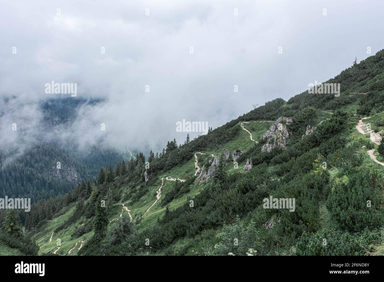 Mountain path through Mount Jenner, Germany Stock Photo - Alamy