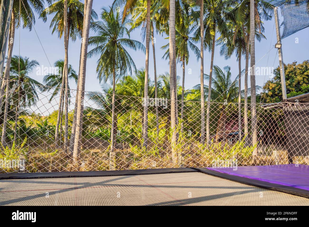 Outdoor trampoline on a background of palm trees Stock Photo - Alamy