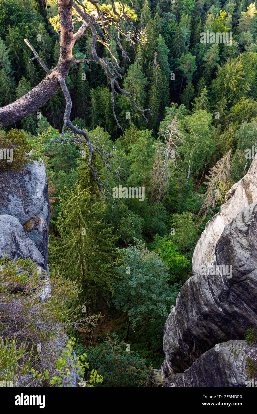 Aerial view over the forest of Saxon Switzerland, Germany Stock Photo ...