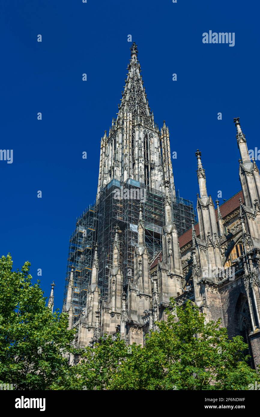 Ulm cathedral tallest church in hi-res stock photography and images - Alamy