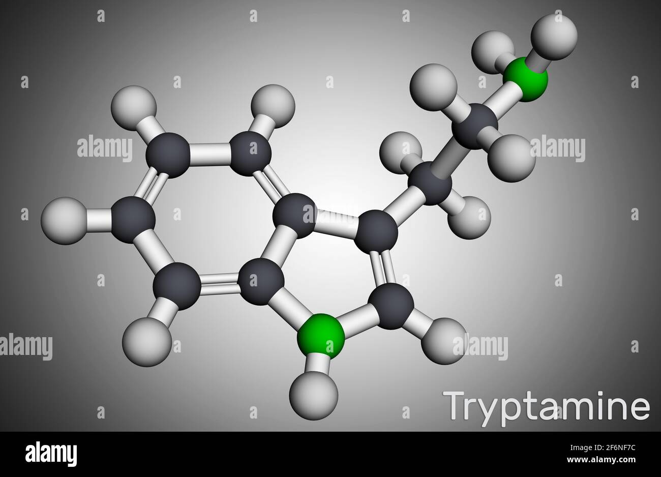 Tryptamine molecule. It is aminoalkylindole. Molecular model. 3D ...