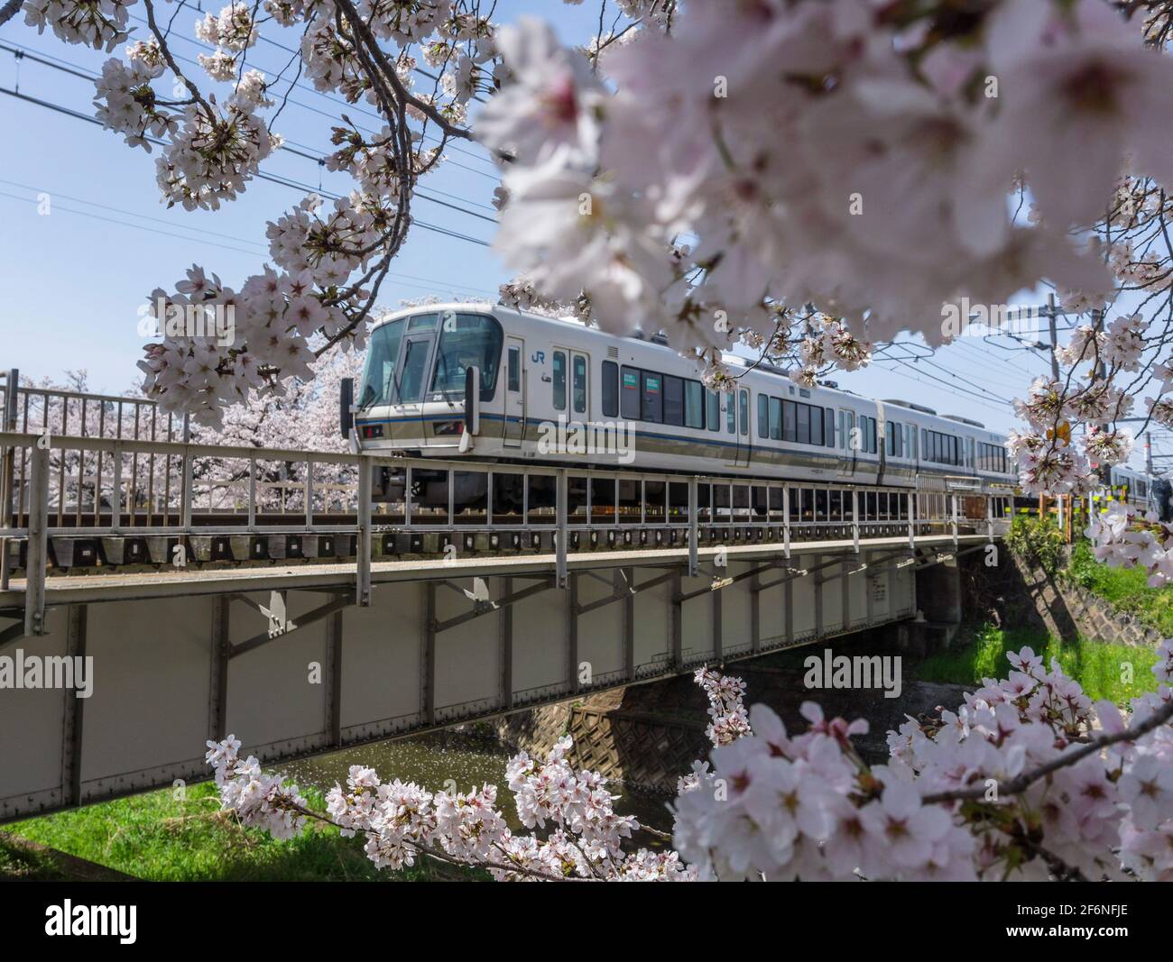 A JR Japan Railways 221 series train crossing a bridge seen through the ...