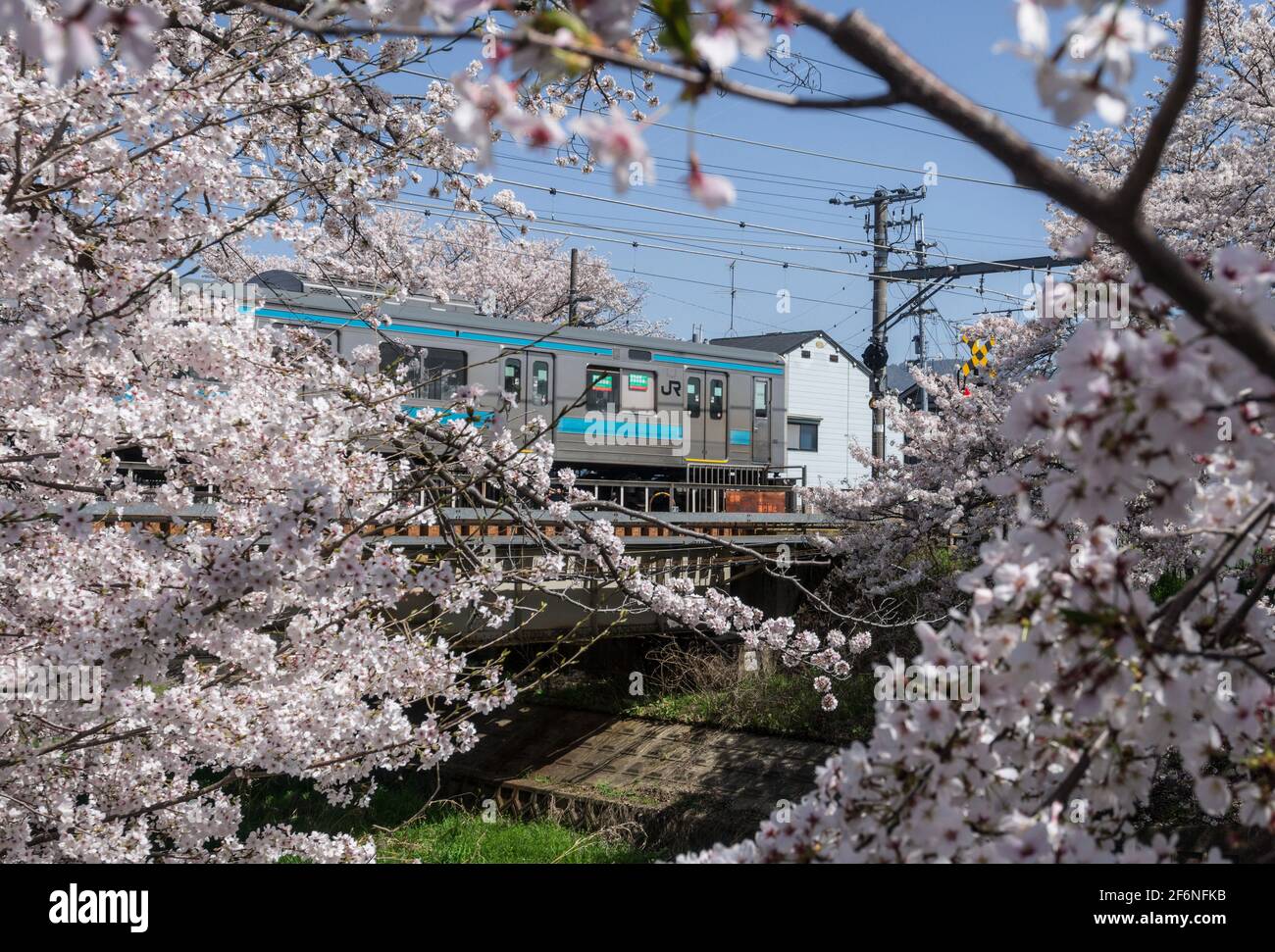 Series 205 train hi-res stock photography and images - Alamy