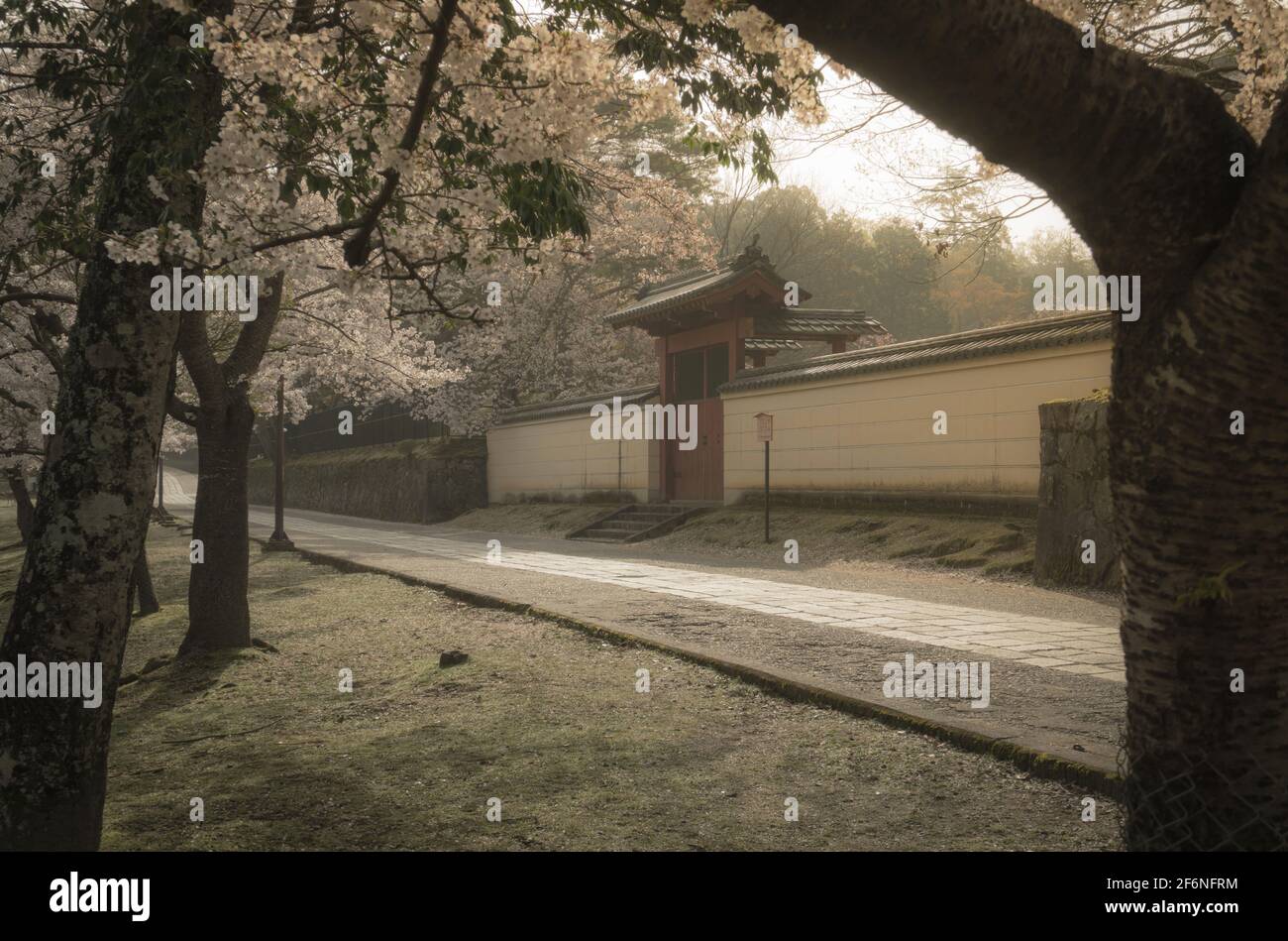 Todaiji temple garden nara japan hi-res stock photography and images ...