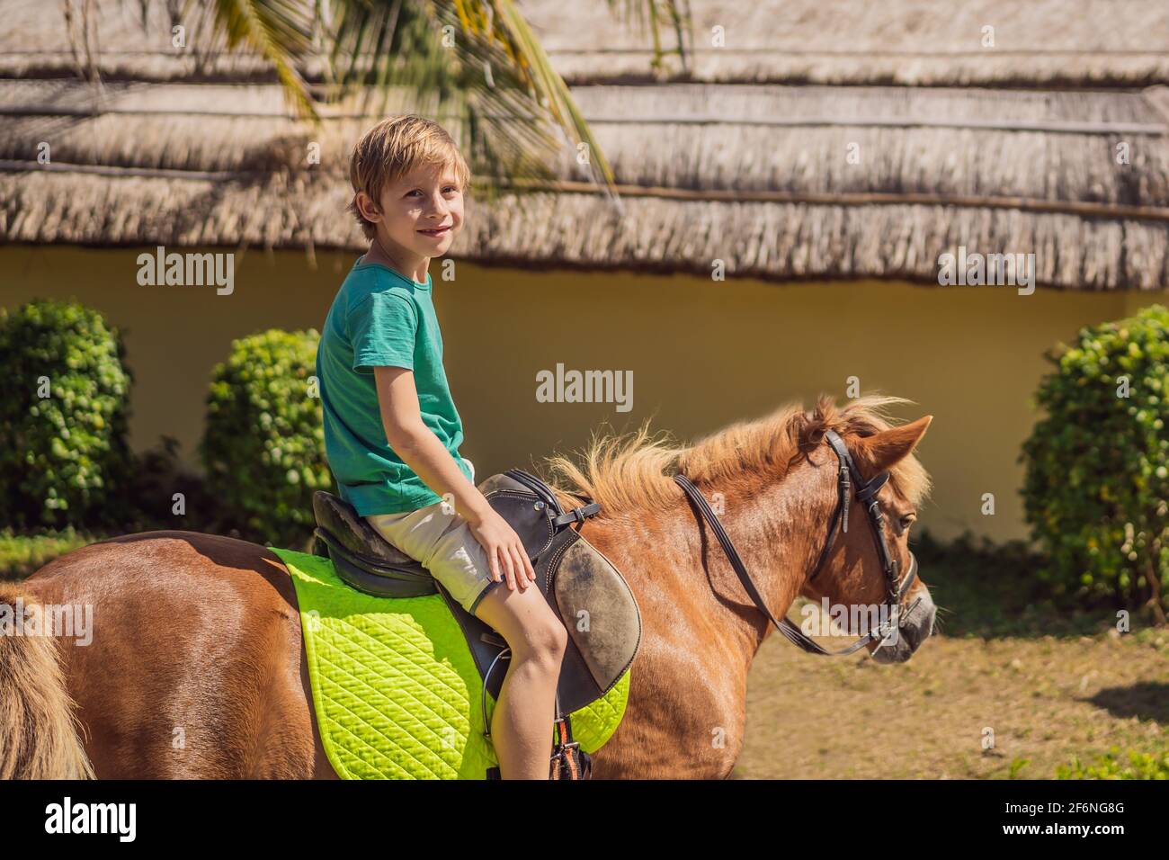 Smiling, young boy ride a pony horse. Horseback riding in a tropical ...