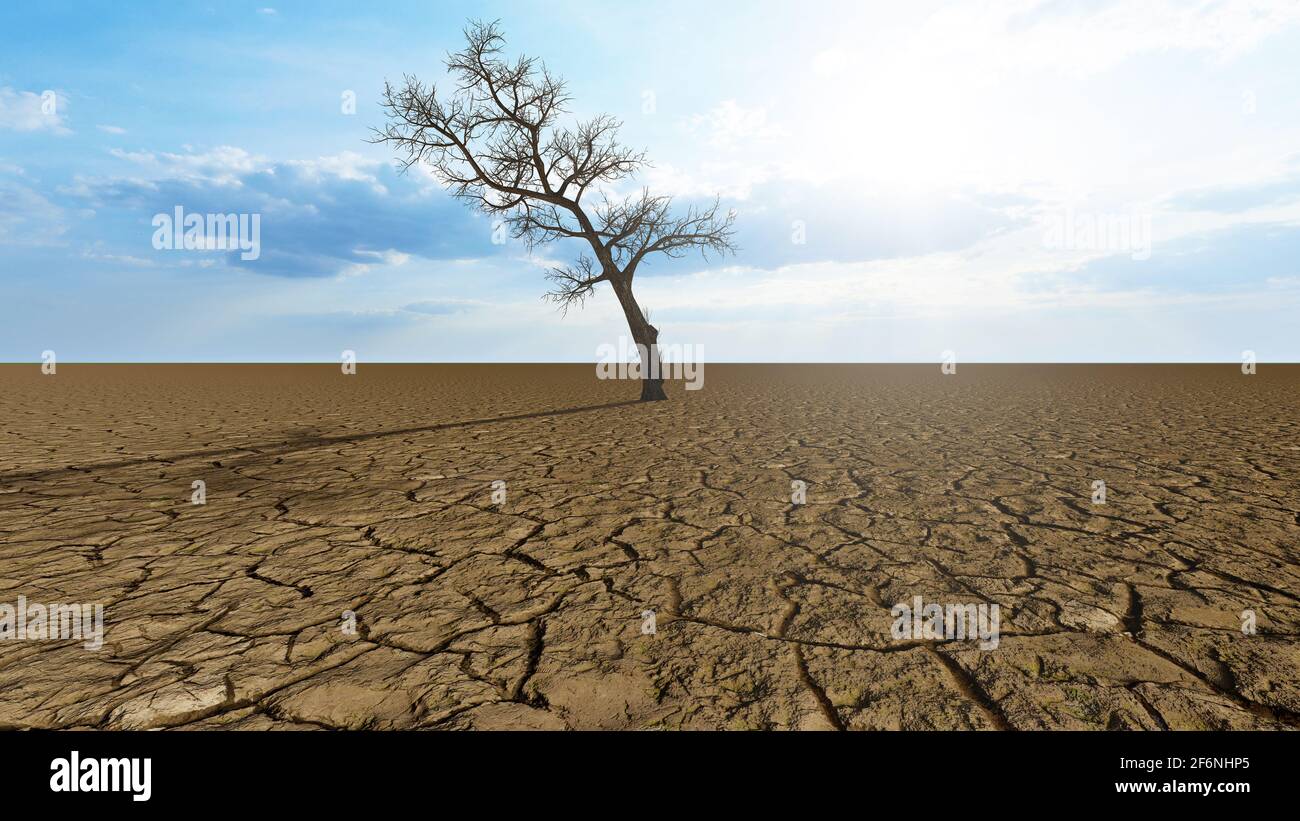 Concept or conceptual desert landscape with a parched tree as a ...