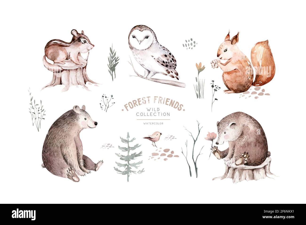 Baby Animals In Clothes