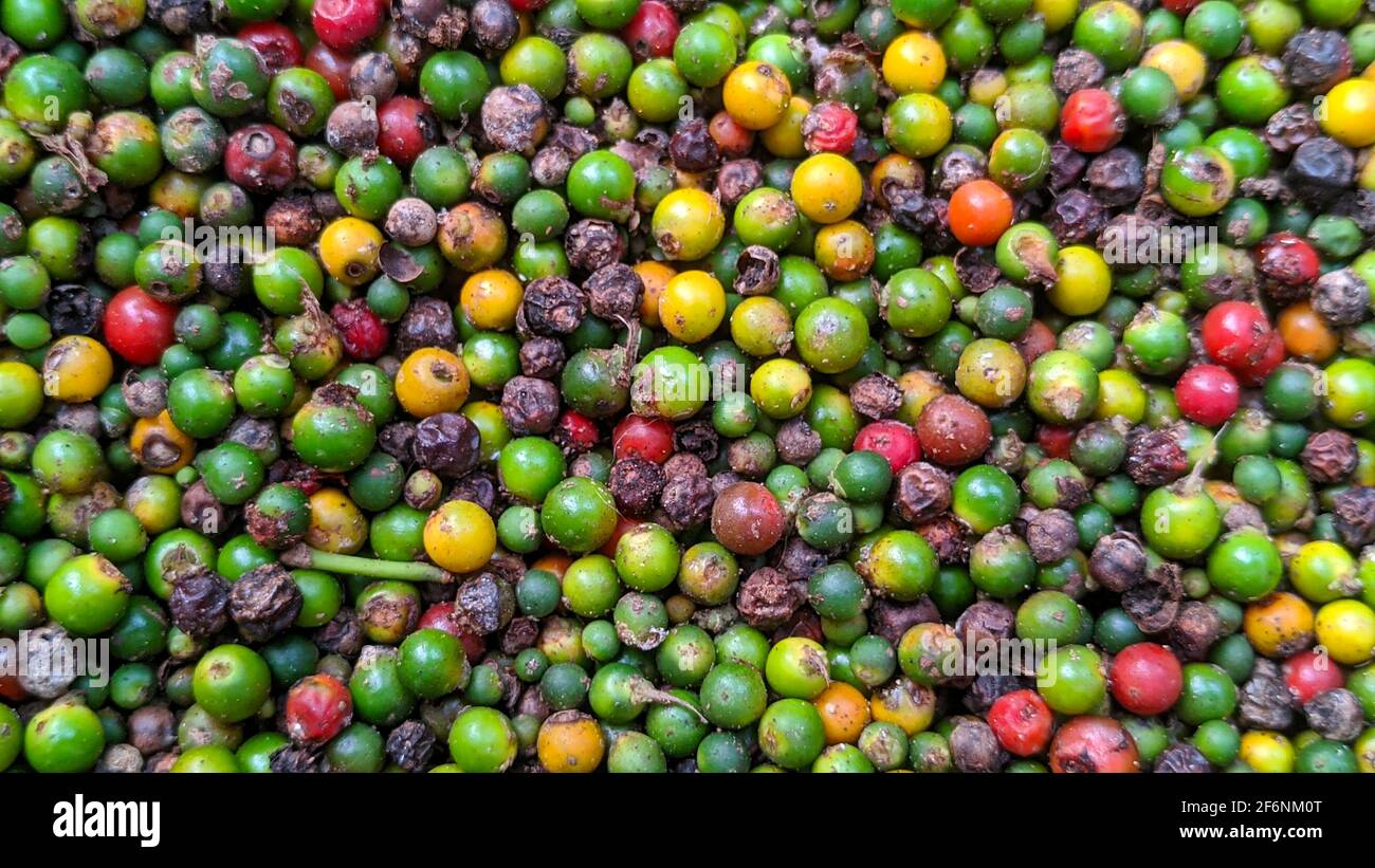 natural color shades of pepper Stock Photo - Alamy