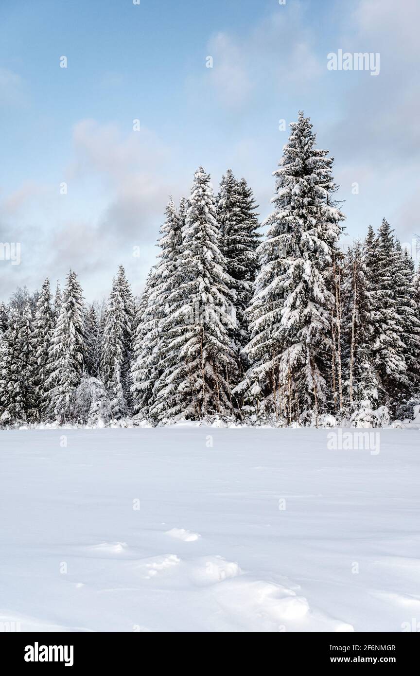 Winter nature calm hi-res stock photography and images - Alamy