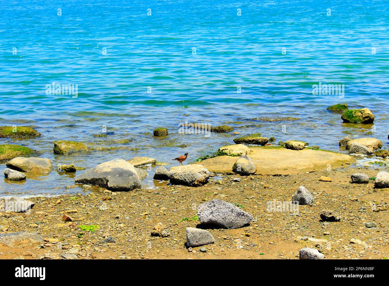 obhur jeddah beach Stock Photo - Alamy