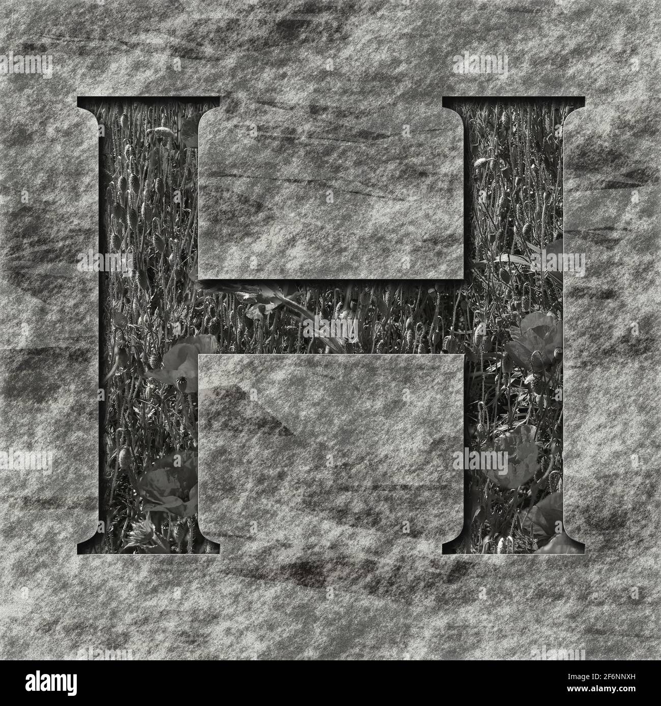 square graphic: capital letter with the upper-case character H, a ...