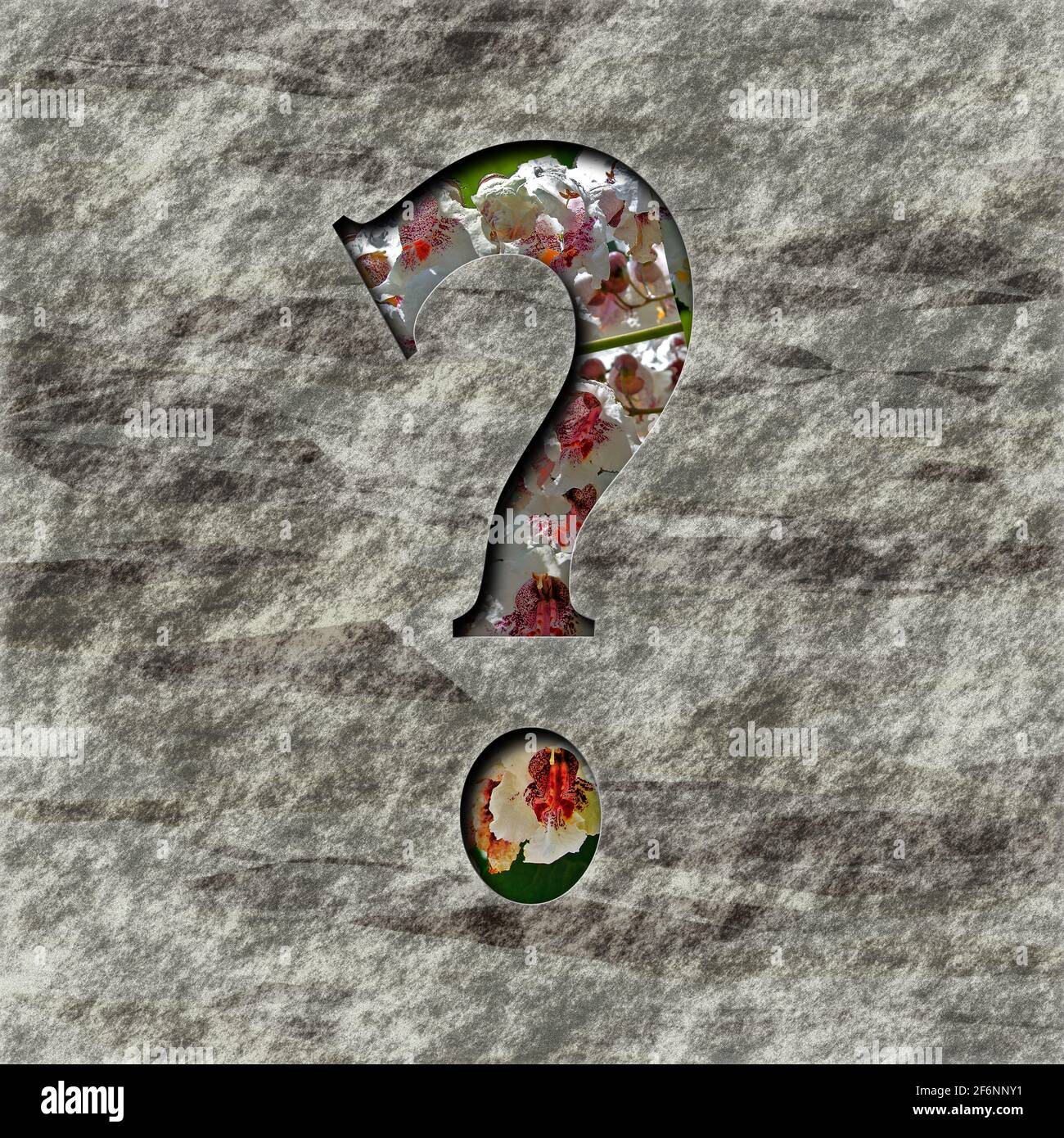 question mark in color as capital letter, a deepend relief on stone ...