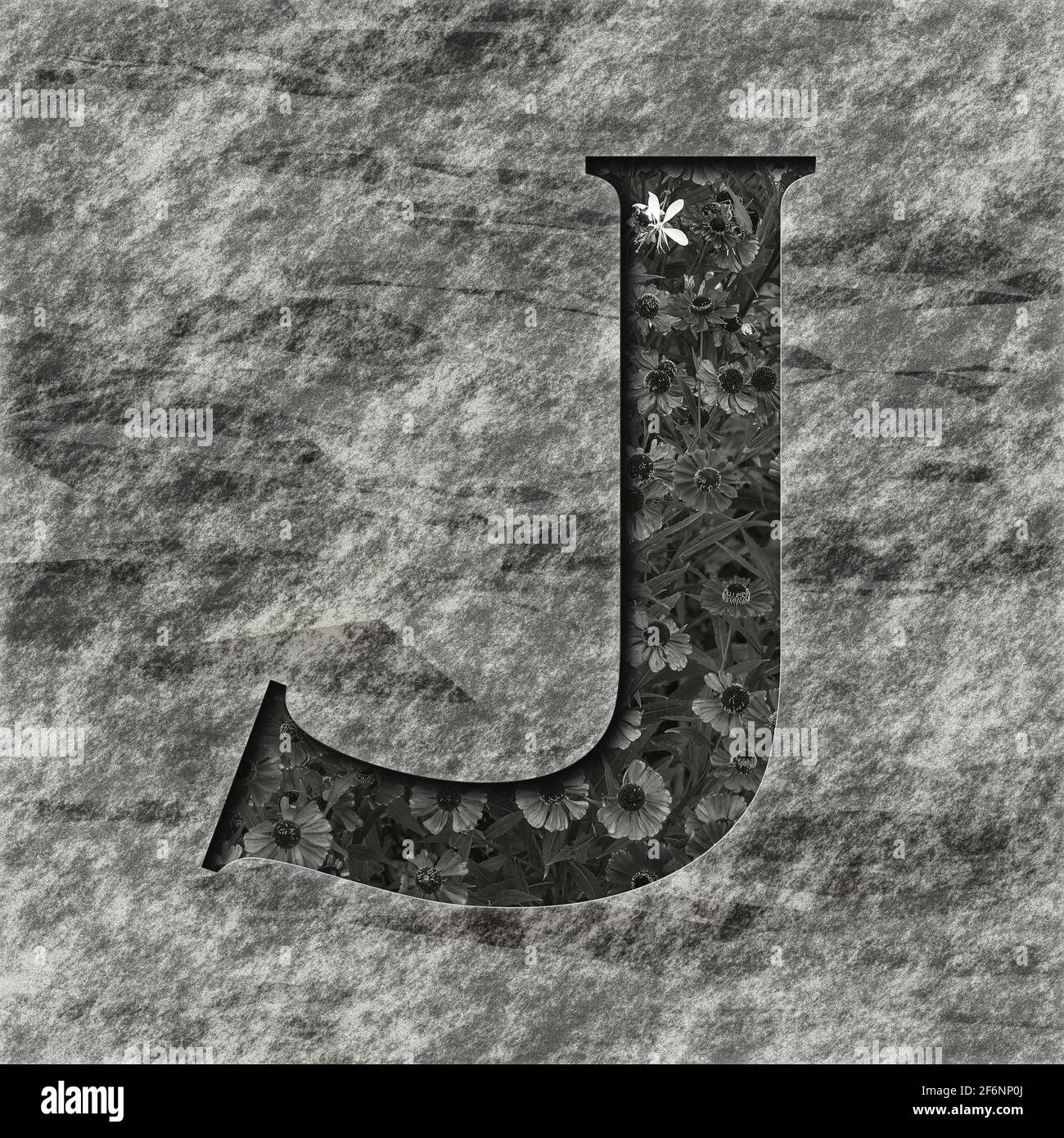 square graphic: capital letter with the upper-case character J, a ...