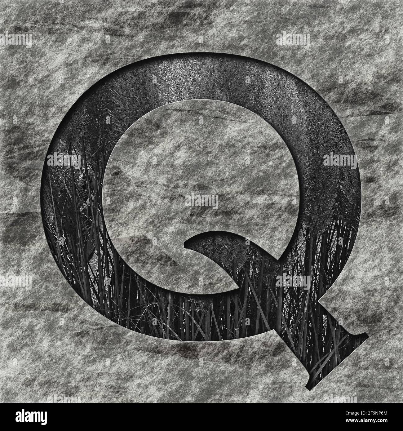 square graphic: capital letter with the upper-case character Q, a ...