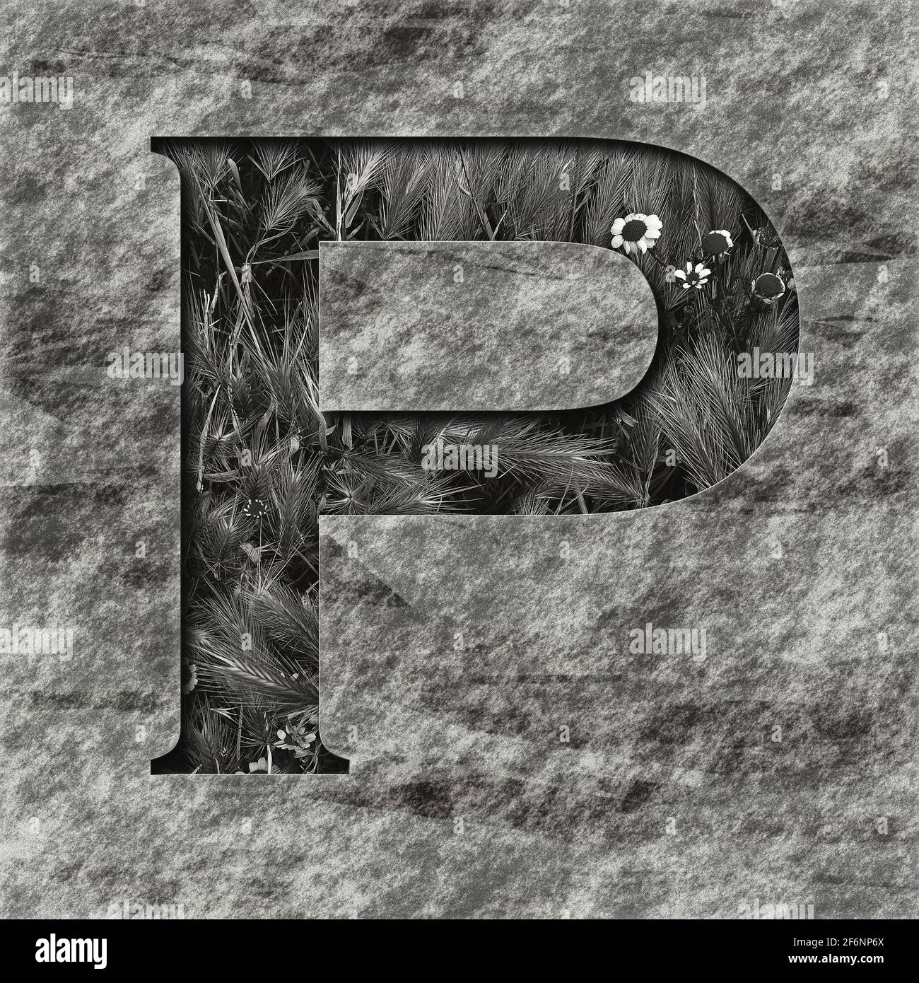 square graphic: capital letter with the upper-case character P, a ...