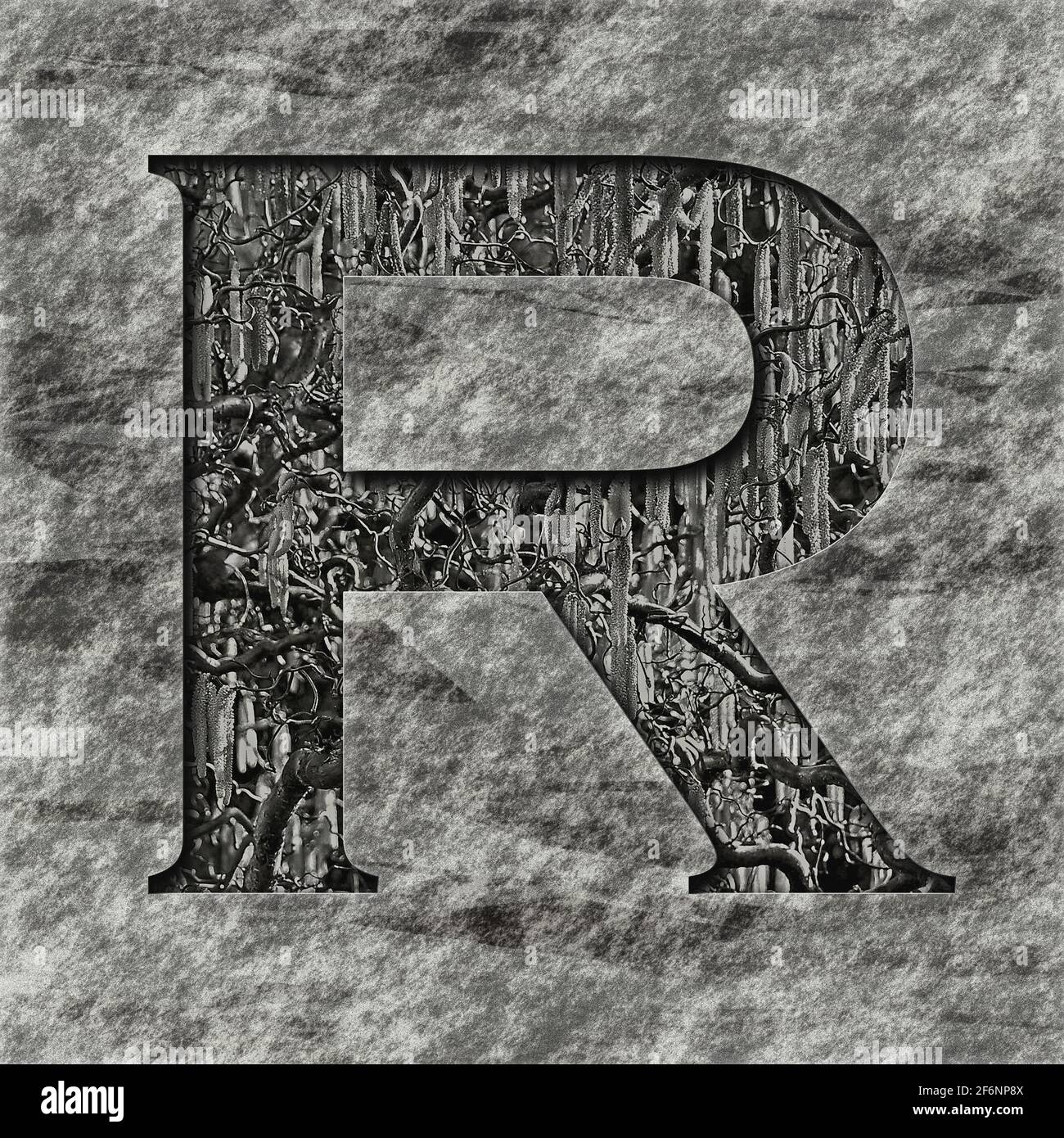 Decorative capital letter r hi-res stock photography and images - Alamy