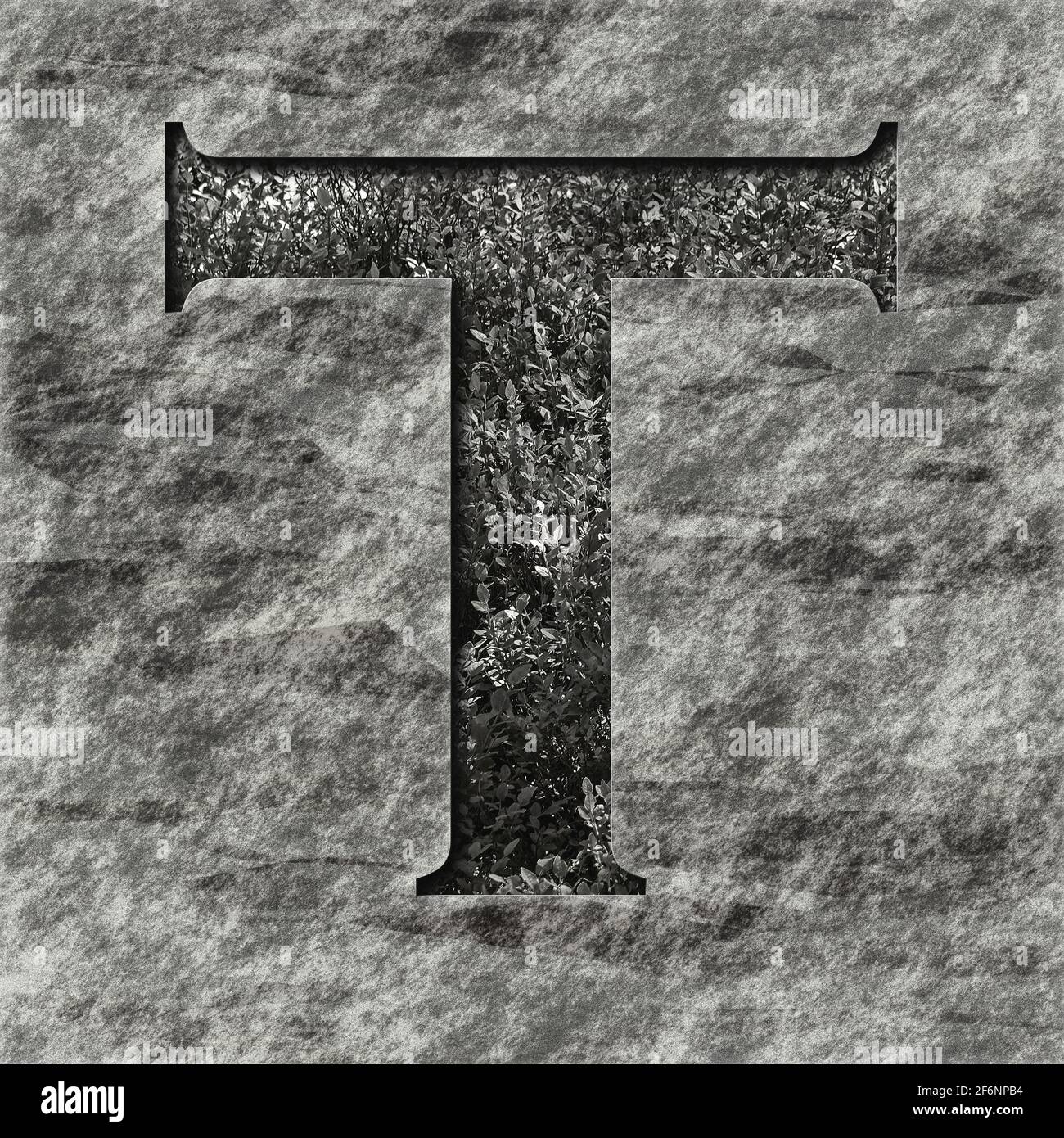 Decorative Capital Letter T High Resolution Stock Photography and ...