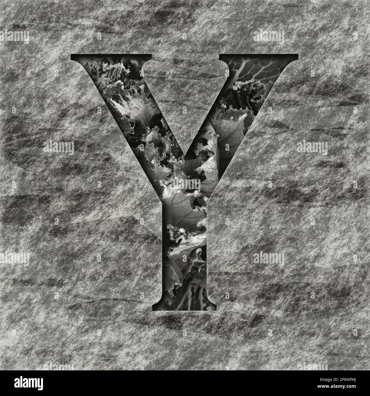 square graphic: capital letter with the upper-case character Y, a ...