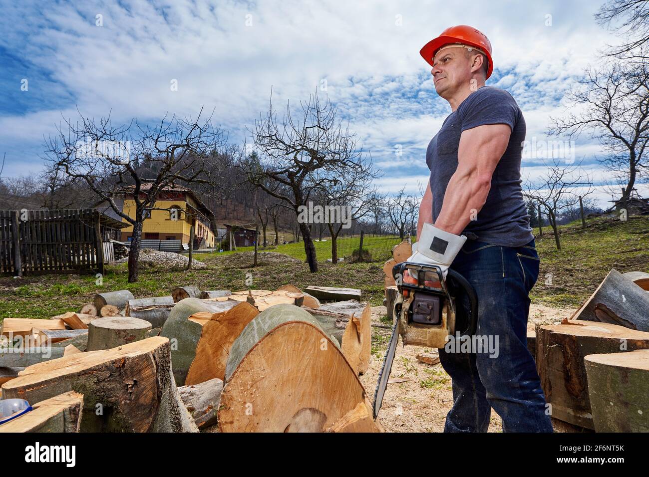 Logger cutting big tree hi-res stock photography and images - Alamy