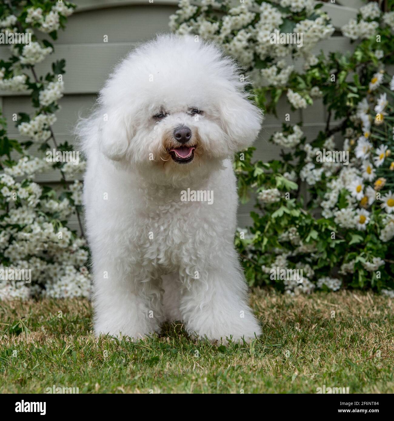 Full body front hi-res stock photography and images - Alamy